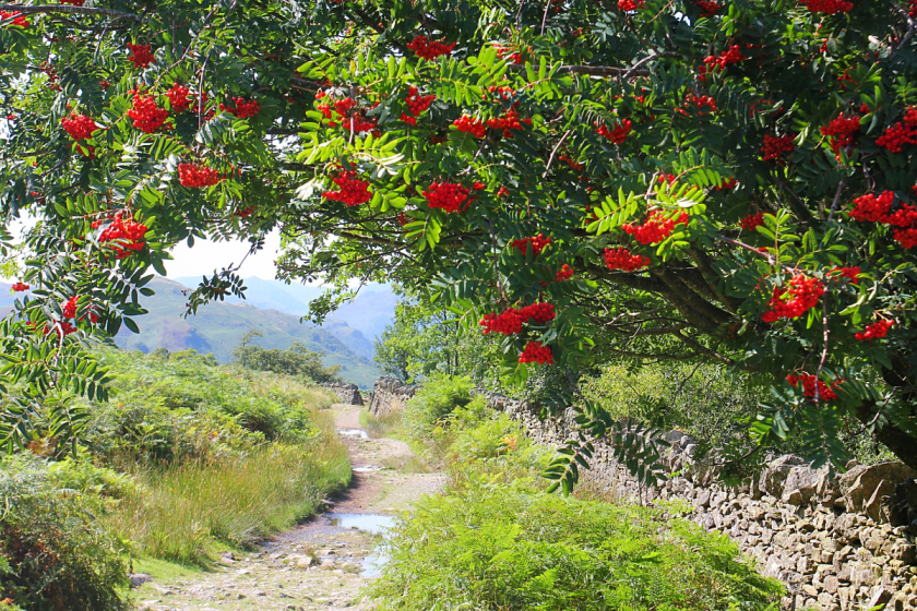 How To Make A Wildlife Friendly Garden | The Garden Fairy
