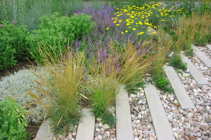 Climate Resilient Gardens | Garden Fairy