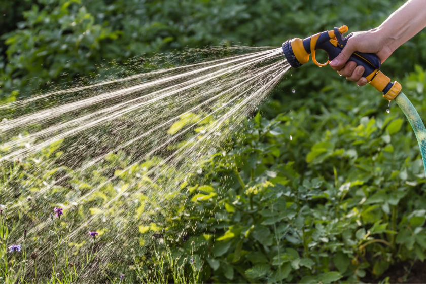 Climate Resilient Gardens | Garden Fairy